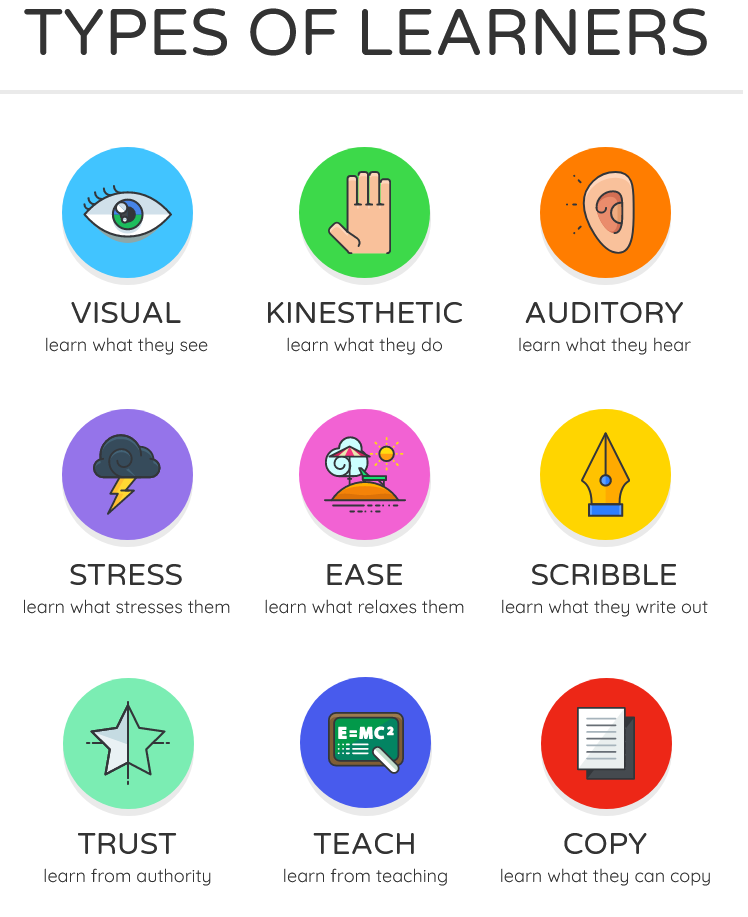 6. Different Categories of Intelligence